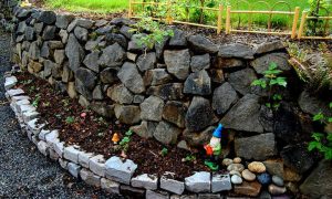 Raspberry Raised Bed Tips: Getting Things Growing | Epic Gardening